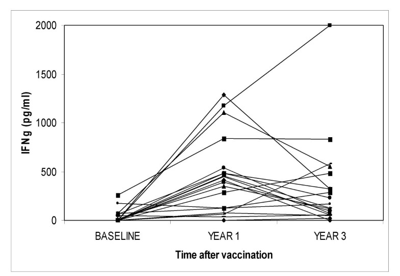 Persistence of the immune response induced by BCG vaccination | BMC ...