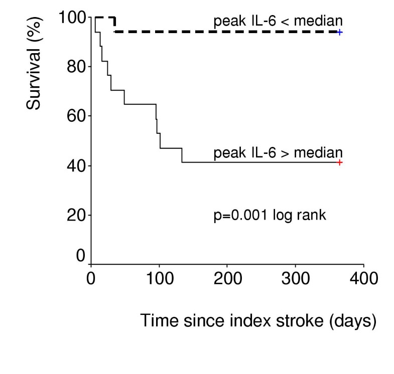 Peak plasma interleukin-6 and other peripheral markers of inflammation ...