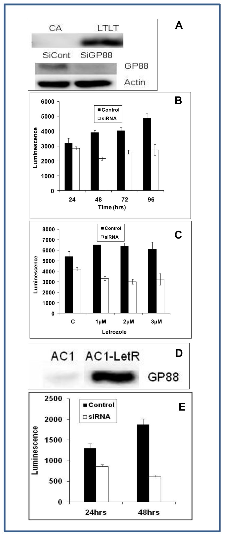GP88 (PC-Cell Derived Growth Factor, progranulin) stimulates ...