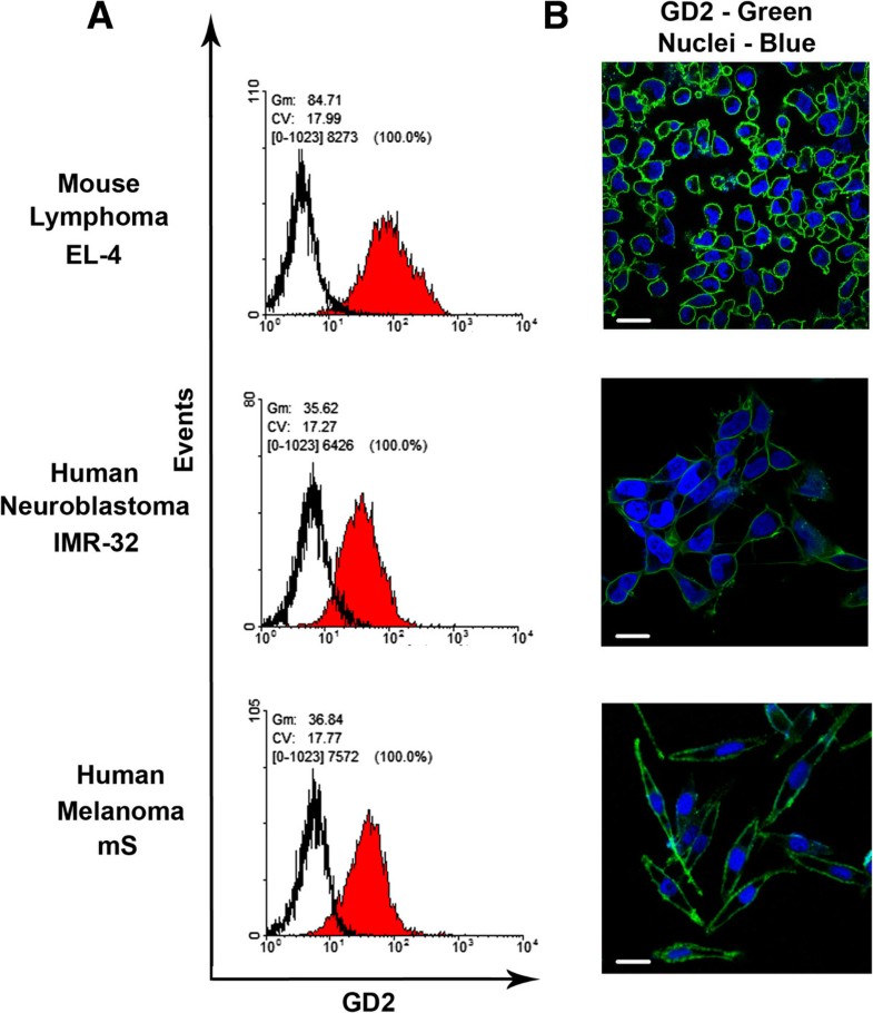 Ganglioside GD2 in reception and transduction of cell death signal in ...