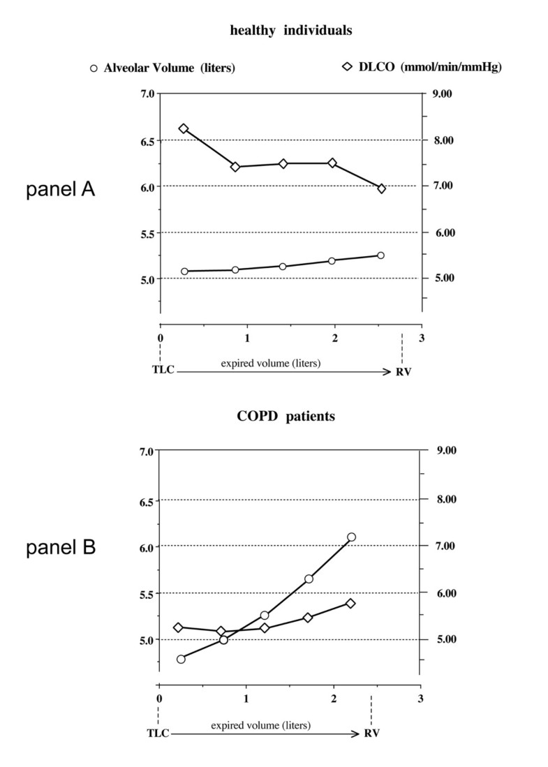 Assessment of the alveolar volume when sampling exhaled gas at ...