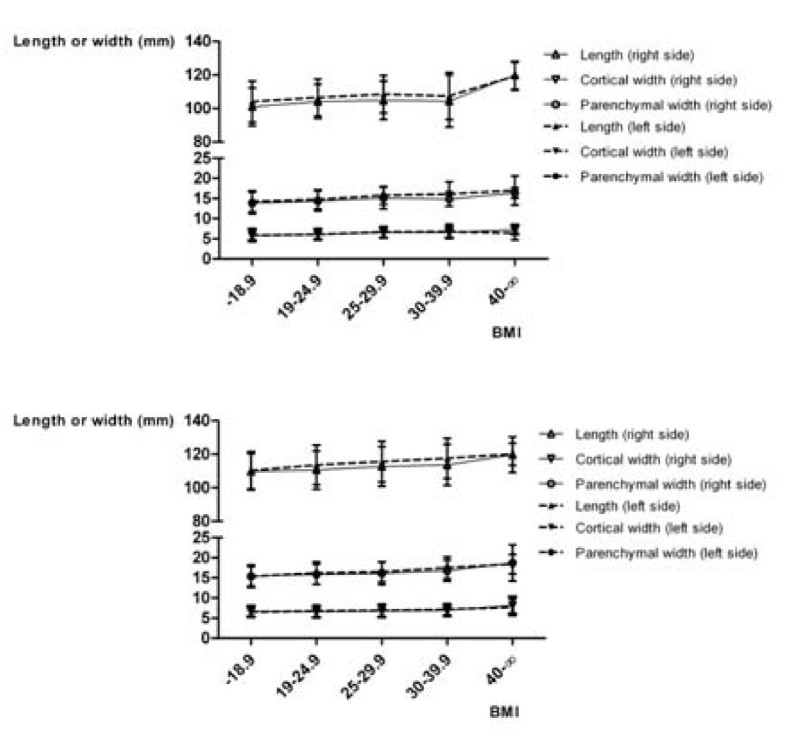 Normal kidney size and its influencing factors - a 64-slice MDCT study ...