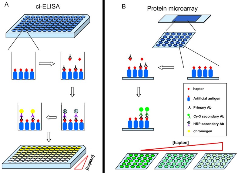 Protein microarray: sensitive and effective immunodetection for drug ...