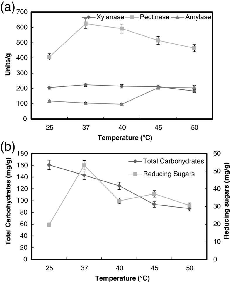 Solid fermentation of wheat bran for hydrolytic enzymes production and saccharification content ...
