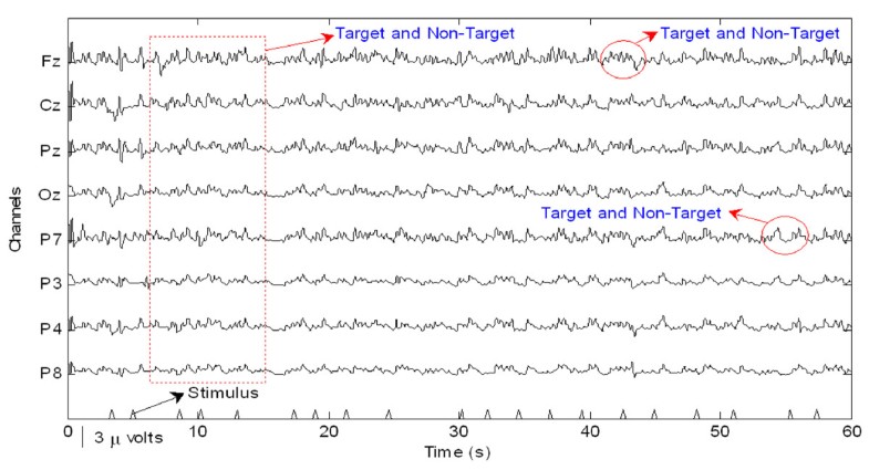 Real-time feature extraction of P300 component using adaptive nonlinear principal component ...