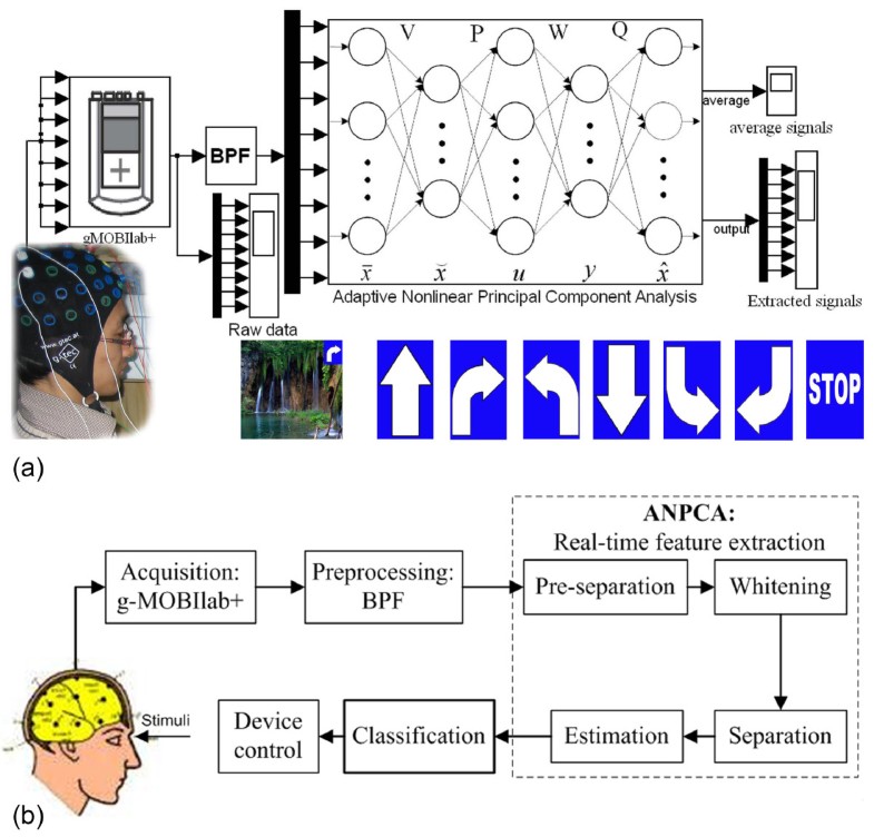 Real-time feature extraction of P300 component using adaptive nonlinear principal component ...