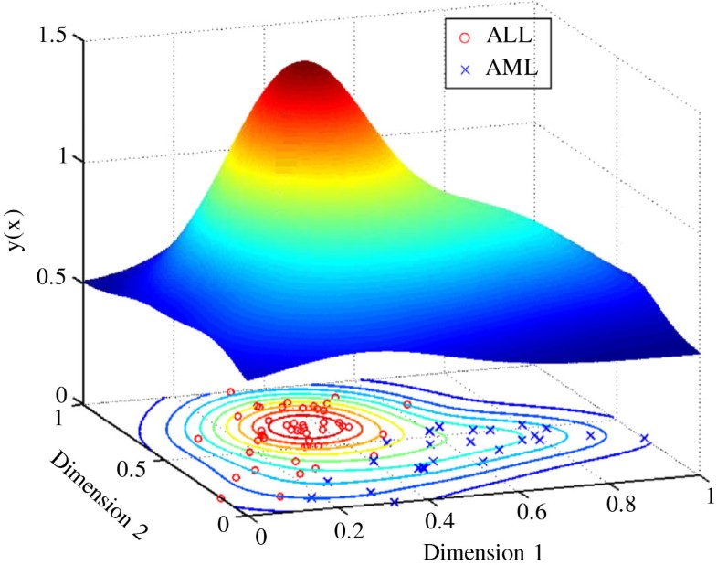 Clustering gene expression data using a diffraction‐inspired framework | BioMedical Engineering ...