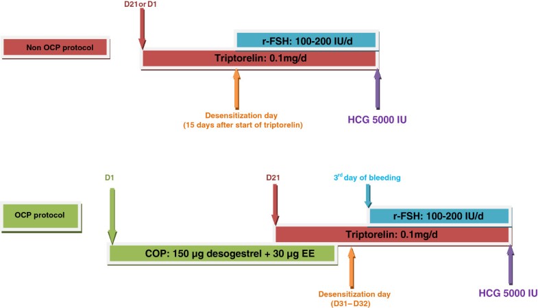First intention IVF protocol for polycystic ovaries: does oral ...