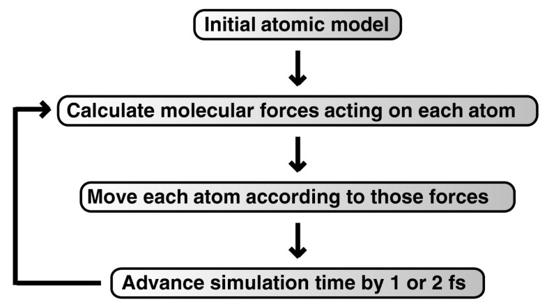 Molecular dynamics simulations and drug discovery | BMC Biology | Full Text