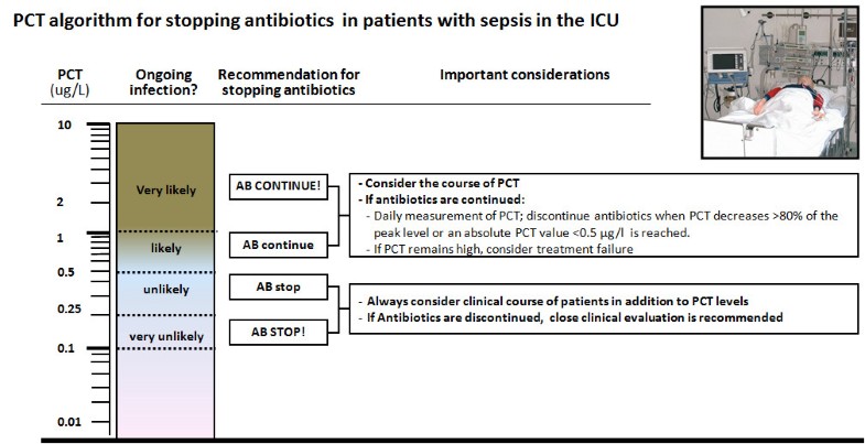 Procalcitonin for diagnosis of infection and guide to antibiotic ...