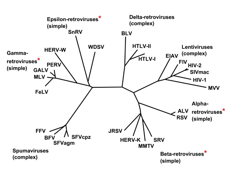 The discovery of endogenous retroviruses | Retrovirology | Full Text