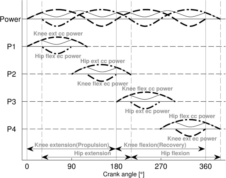 A biomechanical cause of low power production during FES cycling of ...