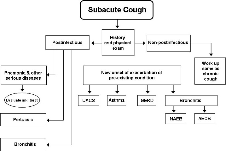 Cough management: a practical approach | Cough | Full Text