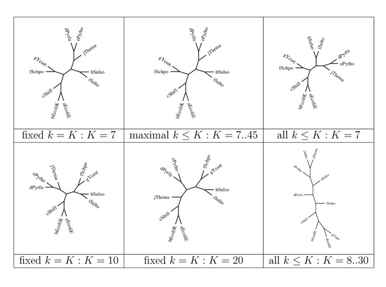 Fast algorithms for computing sequence distances by exhaustive substring composition ...