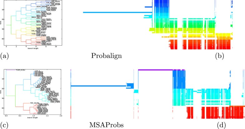 MSARC: Multiple sequence alignment by residue clustering | Algorithms for Molecular Biology ...