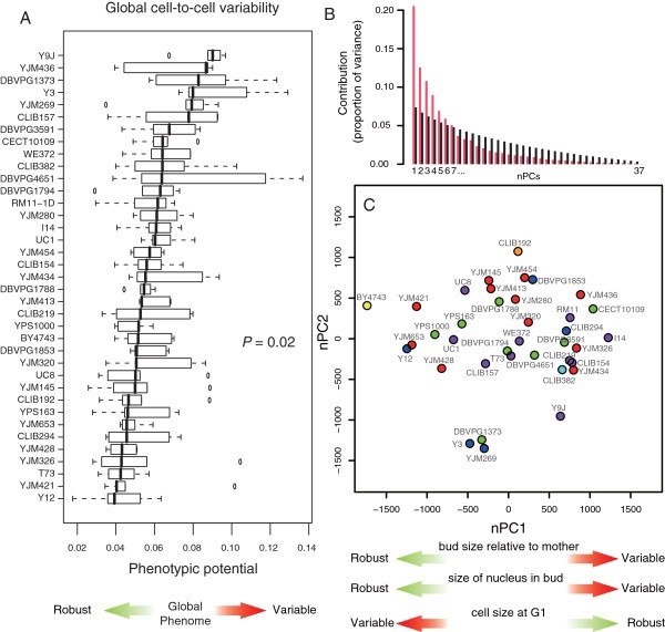 Single-cell phenomics reveals intra-species variation of phenotypic ...
