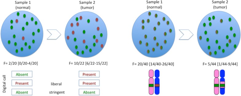 SAVI: a statistical algorithm for variant frequency identification | BMC Systems Biology | Full Text