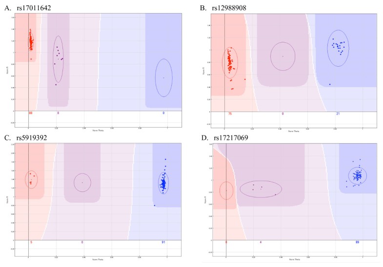 Interpretation of custom designed Illumina genotype cluster plots for ...