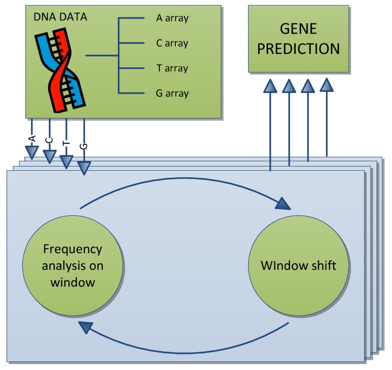Design of high-performance parallelized gene predictors in MATLAB | BMC ...