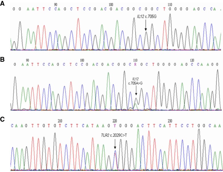 Three Multiplex Snapshot Assays For Snp Genotyping In Candidate Innate