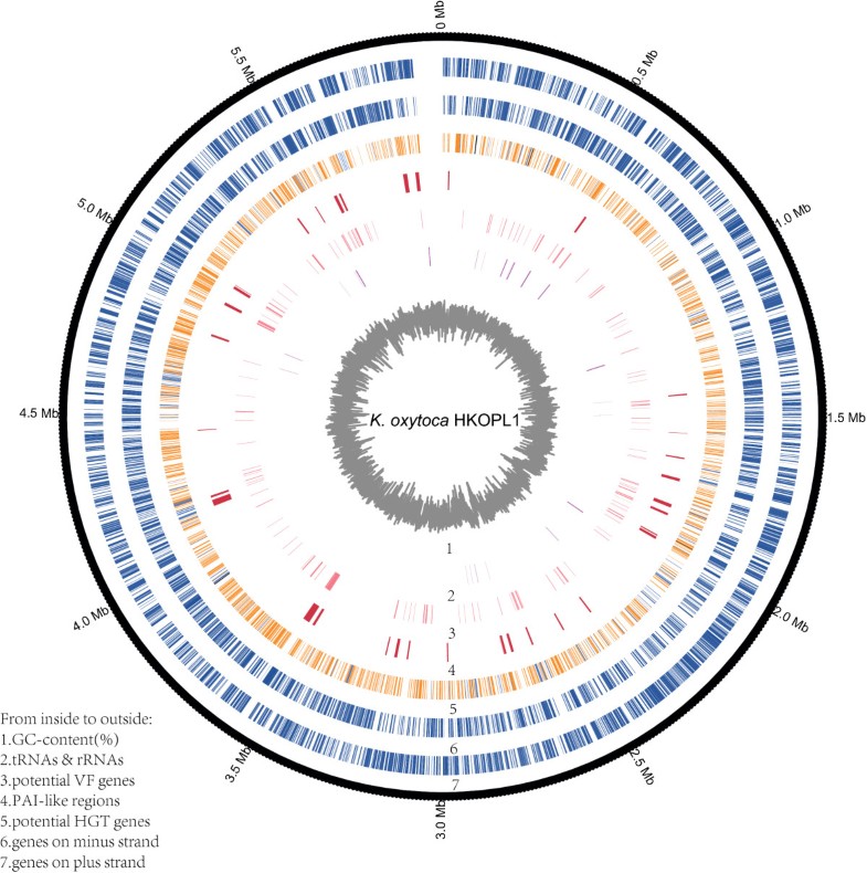 Complete Genome Sequence And Comparative Genome Analysis Of Klebsiella