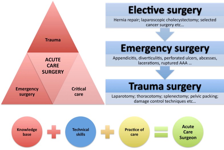 Trauma and the acute care surgery model – should it embrace or replace ...