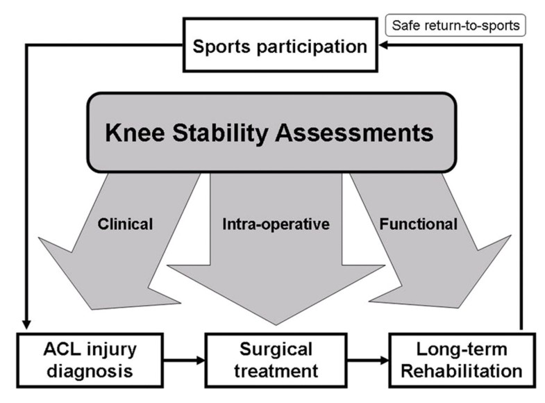 Knee stability assessment on anterior cruciate ligament injury ...