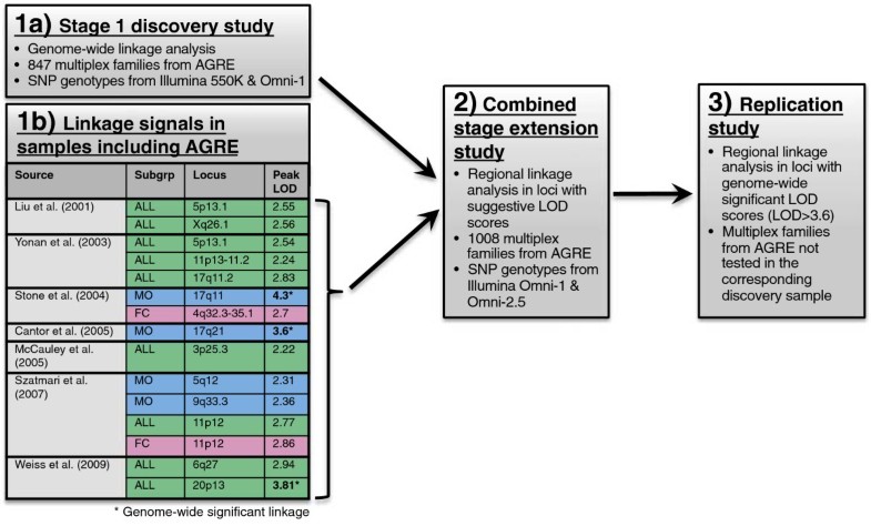 Replication of linkage at chromosome 20p13 and identification of ...