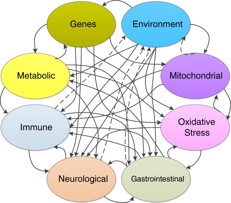 Modeling autism: a systems biology approach | Journal of Clinical ...