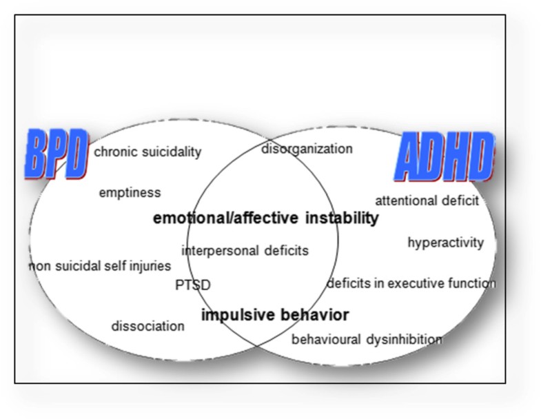 Common ground in Attention Deficit Hyperactivity Disorder (ADHD) and Borderline Personality ...
