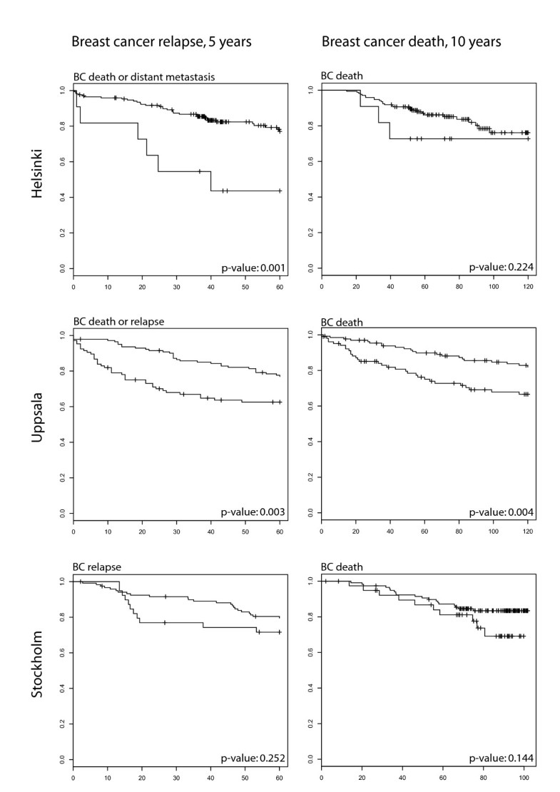 Breast tumors from CHEK2 1100delC- mutation carriers: genomic landscape and clinical ...