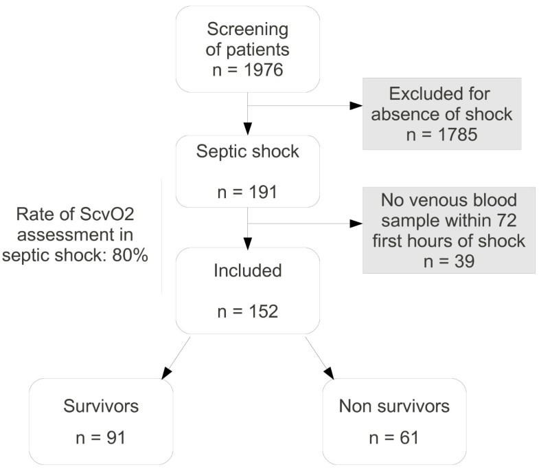 High central venous oxygen saturation in the latter stages of septic ...