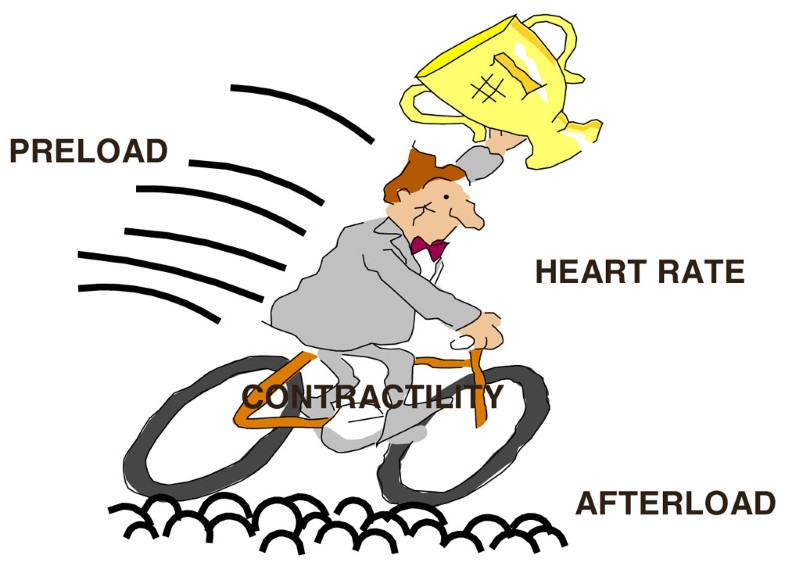 Understanding cardiac output | Critical Care | Full Text