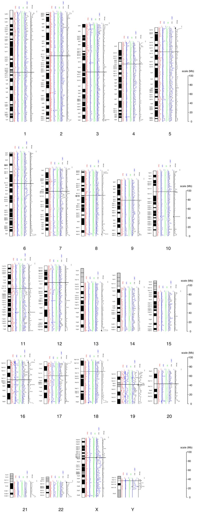 A draft annotation and overview of the human genome | SpringerLink