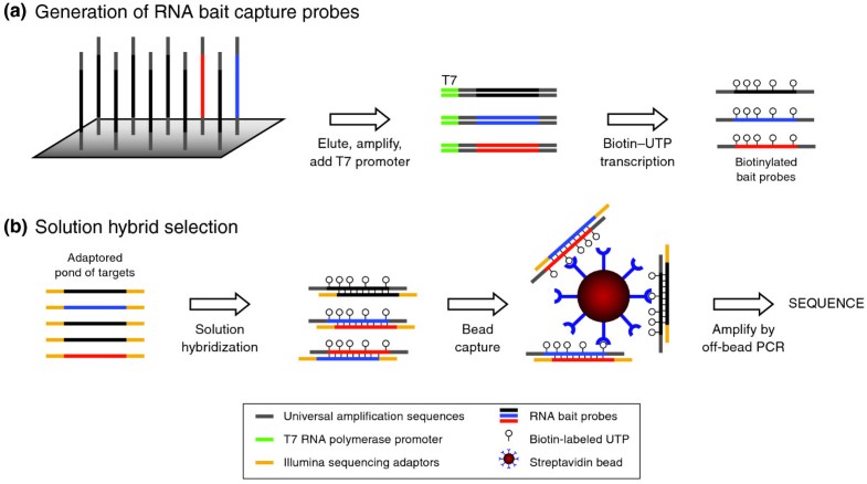 A Scalable Fully Automated Process For Construction Of Sequence Ready