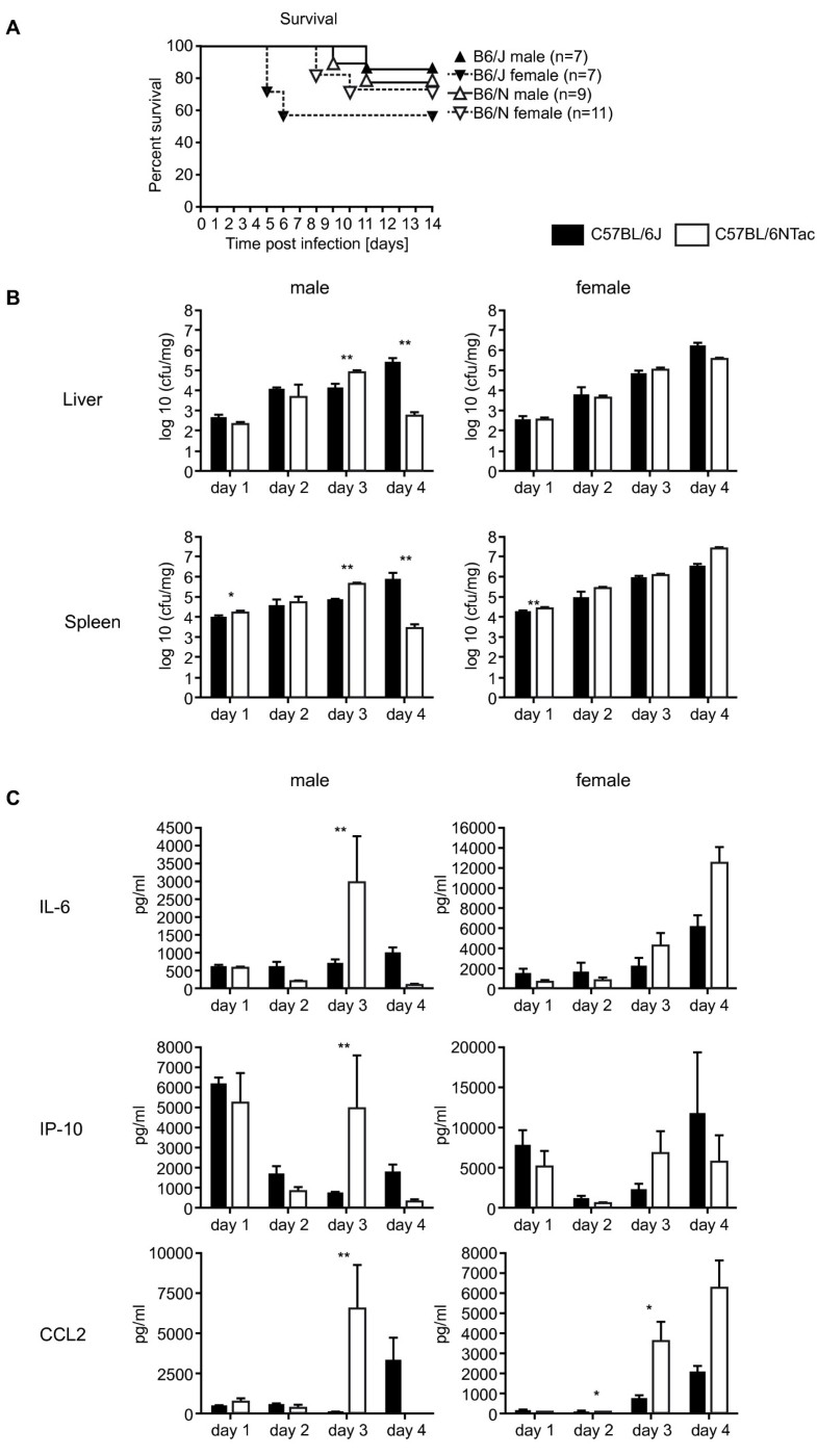A comparative phenotypic and genomic analysis of C57BL/6J and C57BL/6N mouse strains | Genome ...