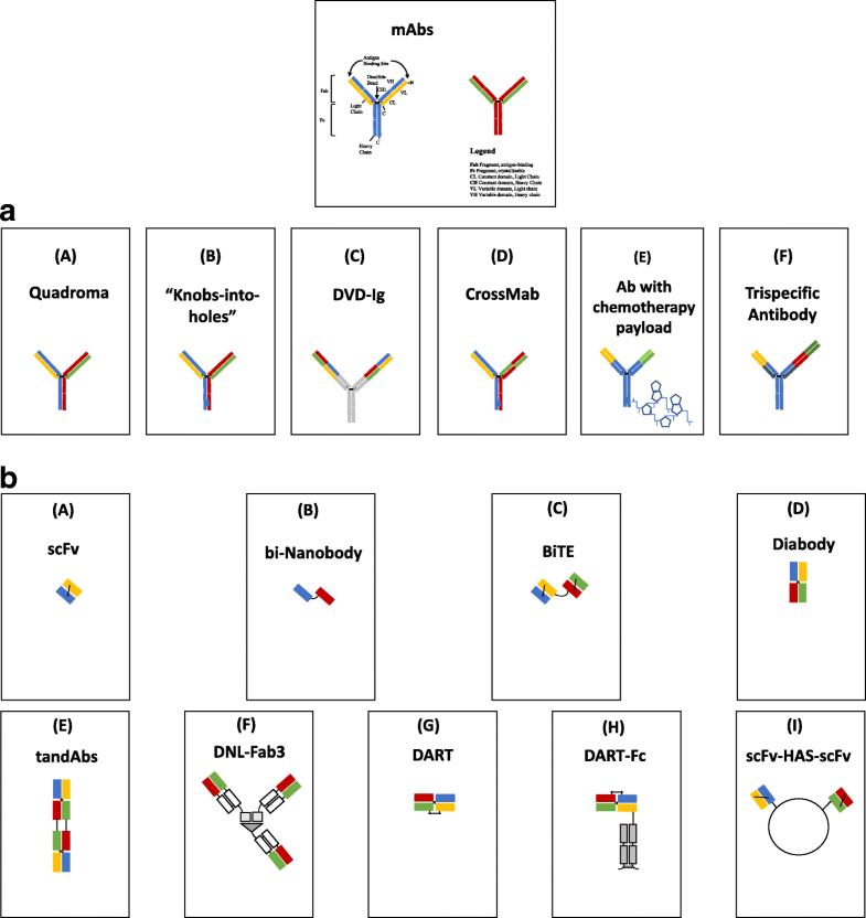 Bi-specific and tri-specific antibodies- the next big thing in solid tumor therapeutics ...