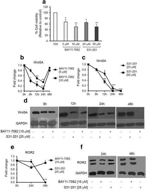 WNT5A–ROR2 is induced by inflammatory mediators and is involved in the ...