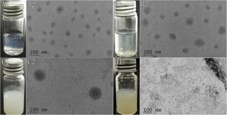 Using Omniscan-Loaded Nanoparticles as a Tumor-Targeted MRI Contrast ...