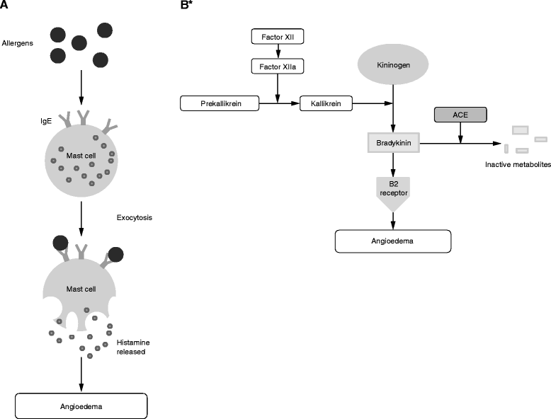 Angioedema in the emergency department: a practical guide to ...