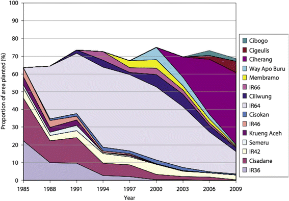 IR64: a high-quality and high-yielding mega variety | Rice | Full Text