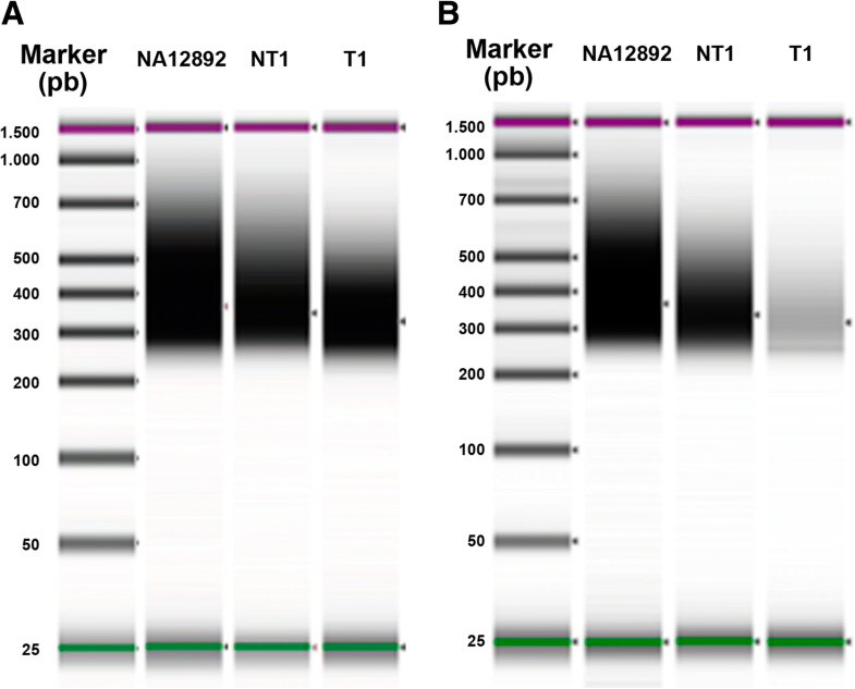 Modified SureSelectQXT Target Enrichment Protocol for Illumina ...