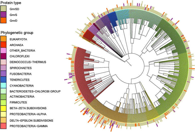 Phylogenomics and sequence-structure-function relationships in the ...