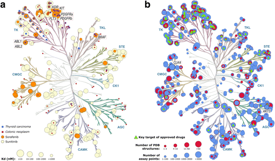 KinMap: a web-based tool for interactive navigation through human ...