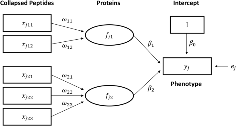 Drug response prediction model using a hierarchical structural component modeling method | BMC ...