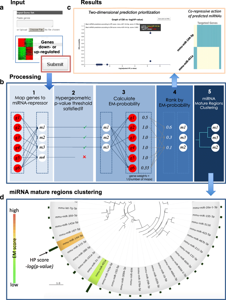 miREM: an expectation-maximization approach for prioritizing miRNAs ...