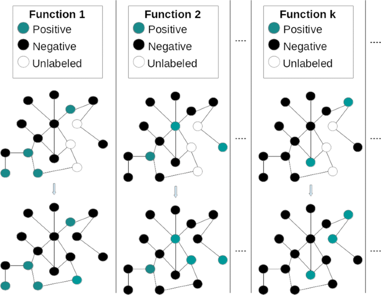 A GPU-based algorithm for fast node label learning in large and unbalanced biomolecular networks ...