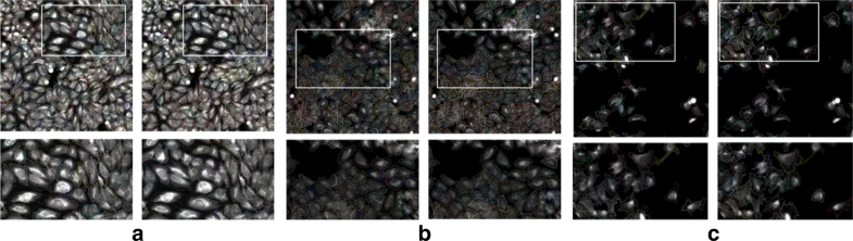A deep learning-based algorithm for 2-D cell segmentation in microscopy images | BMC ...