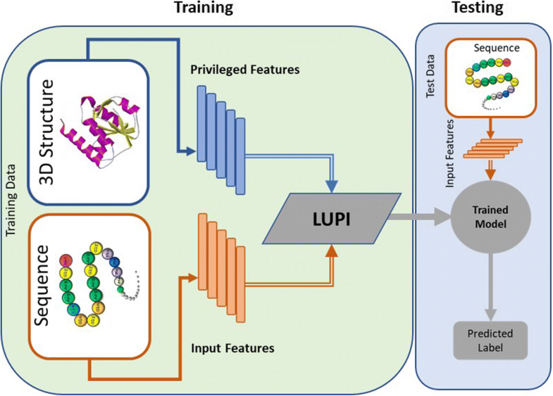 Learning protein binding affinity using privileged information ...
