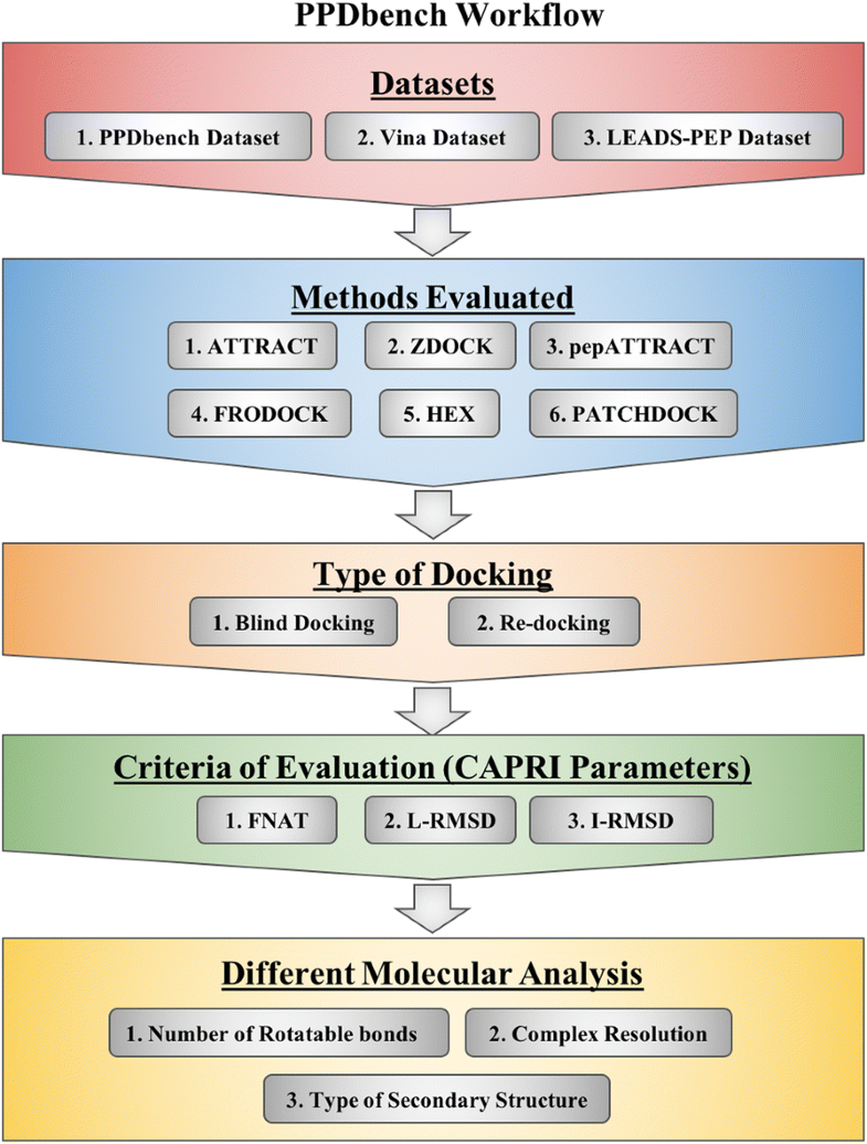 Benchmarking of different molecular docking methods for protein-peptide ...